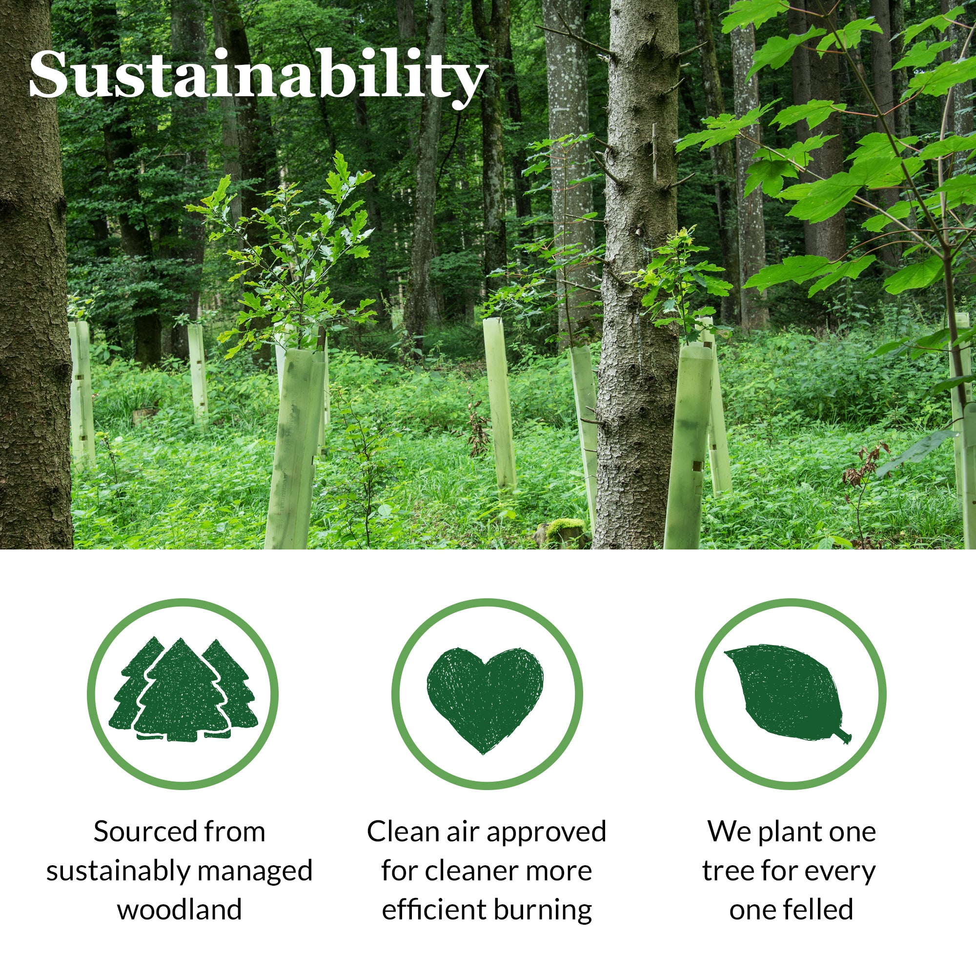 Kiln Dried Hardwood Beech Logs, Perfect For Stoves and Wood Burners ...